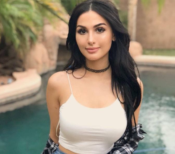 Descobrindo o Patrimônio Líquido de SSSniperWolf: A Ascensão Meteórica ...